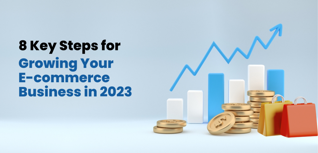 8 Key Steps for Growing Your E-commerce Business | Riseweb Digital